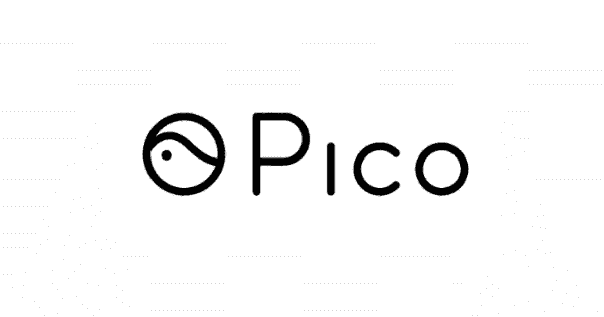 Review on Pico VR - virtual reality glasses